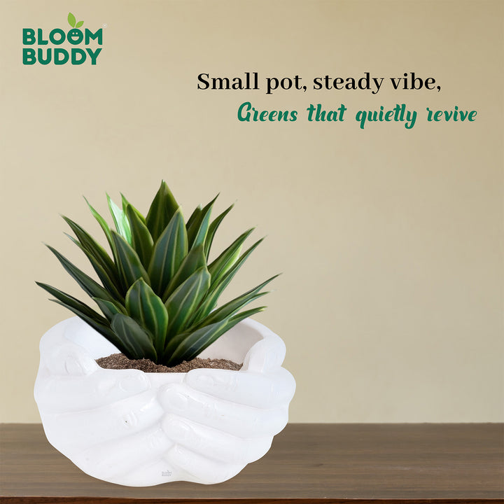 Bloom Buddy White Ceramic Hand Planter Pot for Indoor Plants | Decorat ...